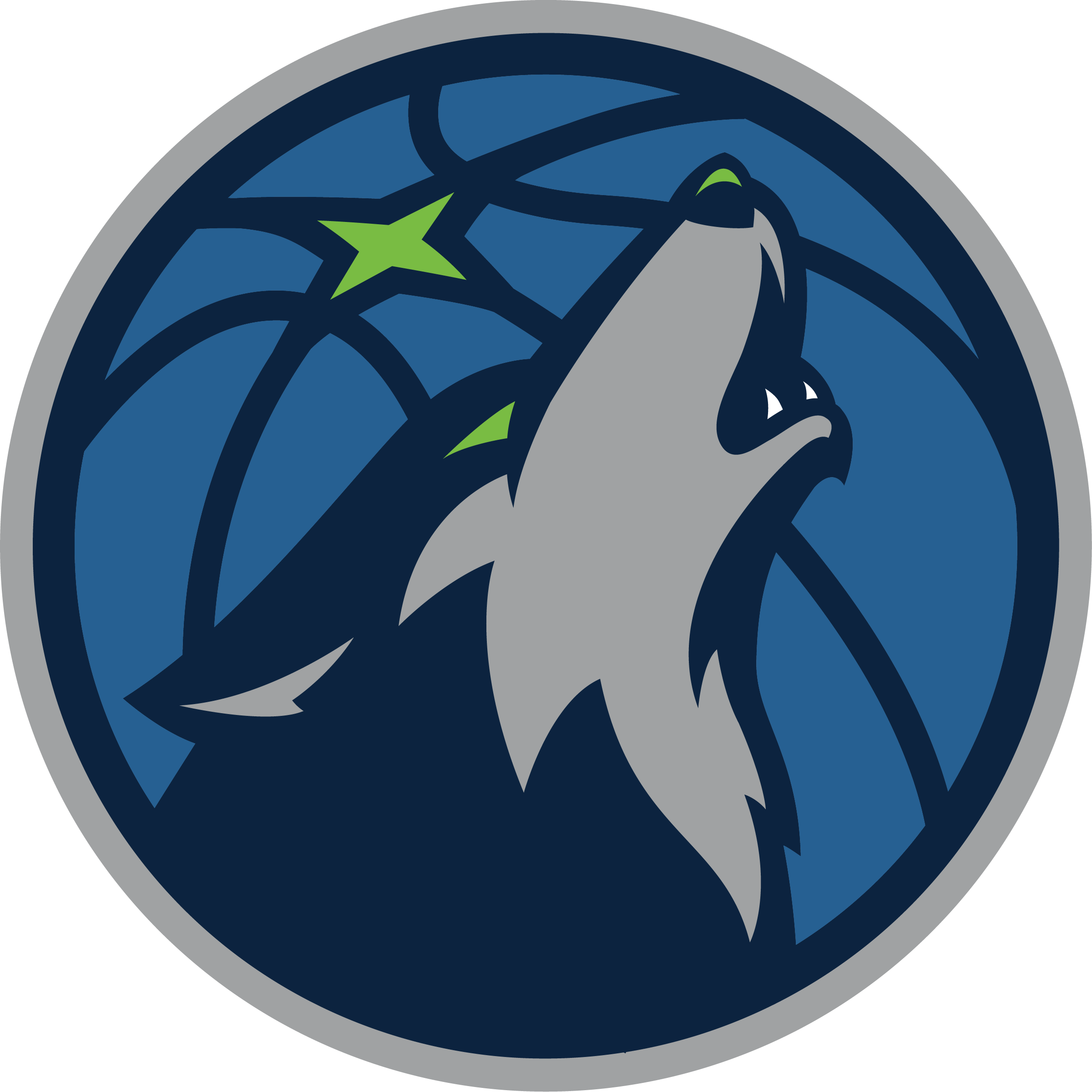 Minnesota Timberwolves – New Era Cap