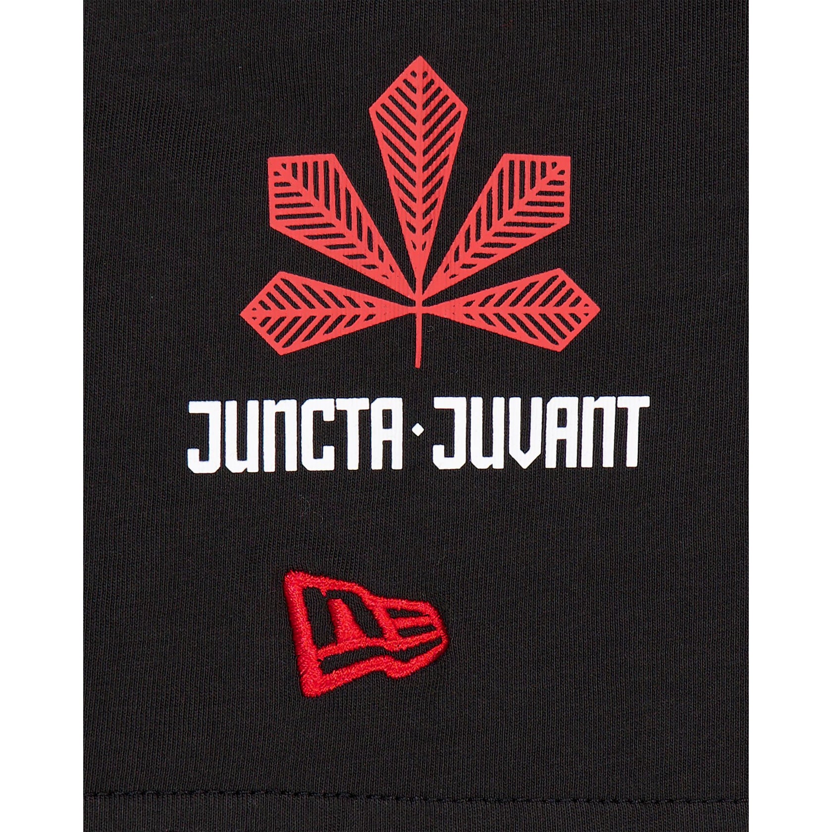 Cincinnati Reds City Connect T-Shirt – New Era Cap