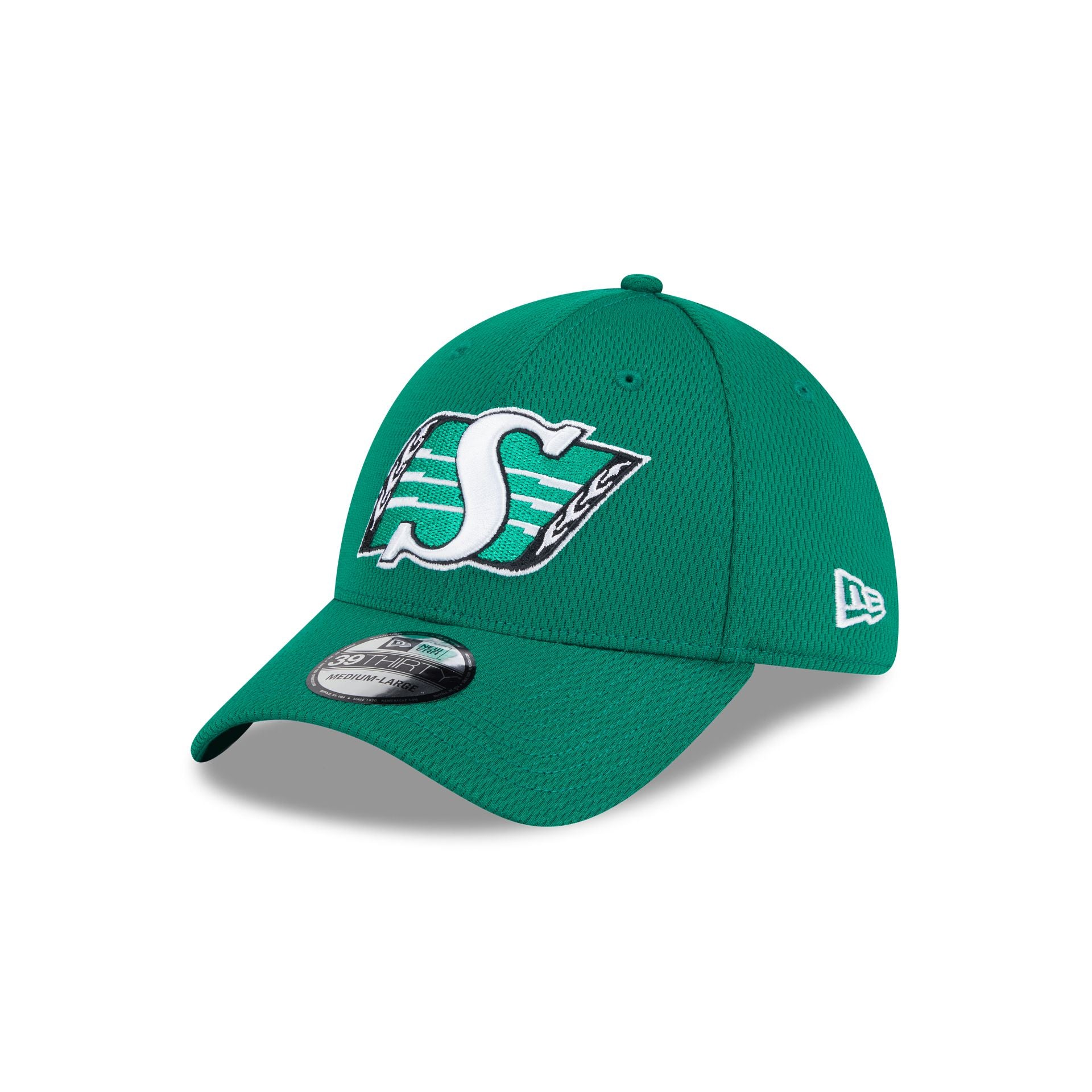 Saskatchewan Roughriders Rear Wordmark 39THIRTY Stretch Fit Hat – New ...