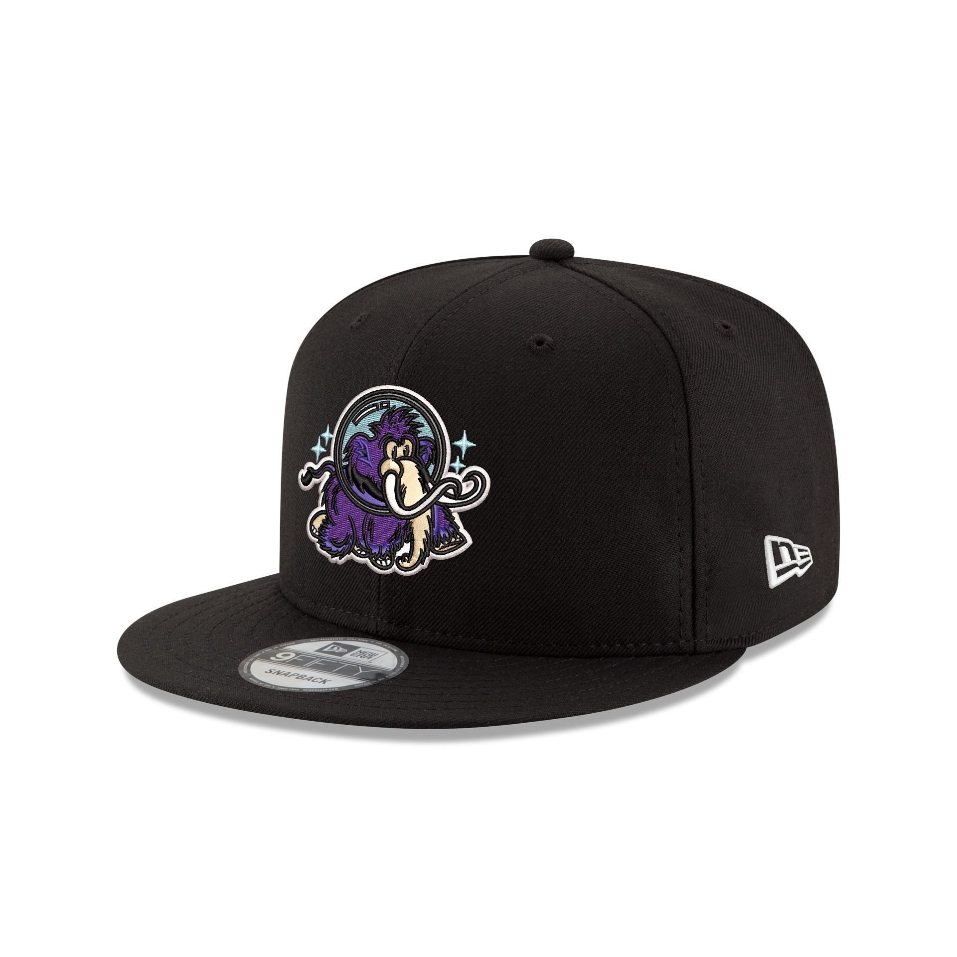 Erie Moon Mammoths 9FIFTY Snapback Hat – New Era Cap